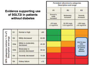 CKD summary overview – edren.org