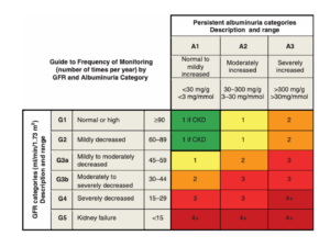CKD summary overview – edren.org