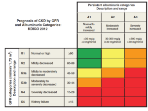 CKD summary overview – edren.org