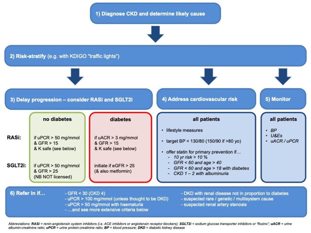 CKD summary overview – edren.org
