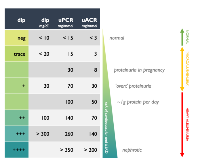Proteinuria – edren.org